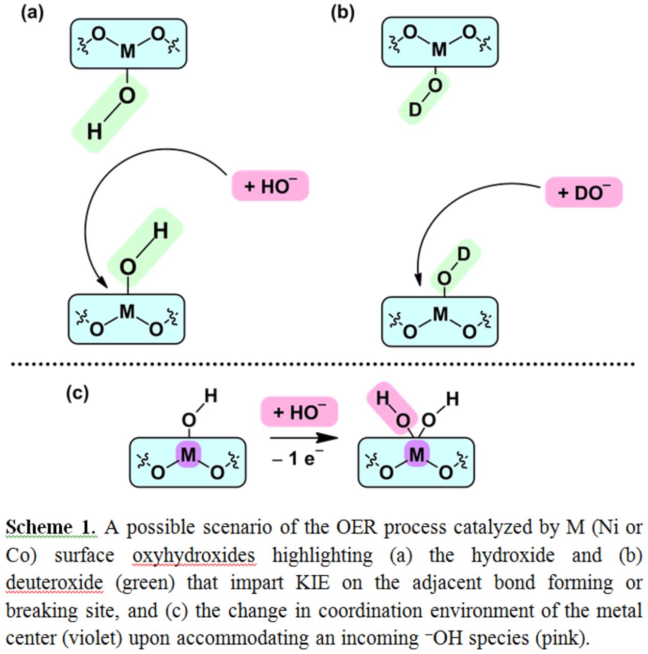 New Insights into the Water Oxidation Mechanism from Kinetic Isotope ...
