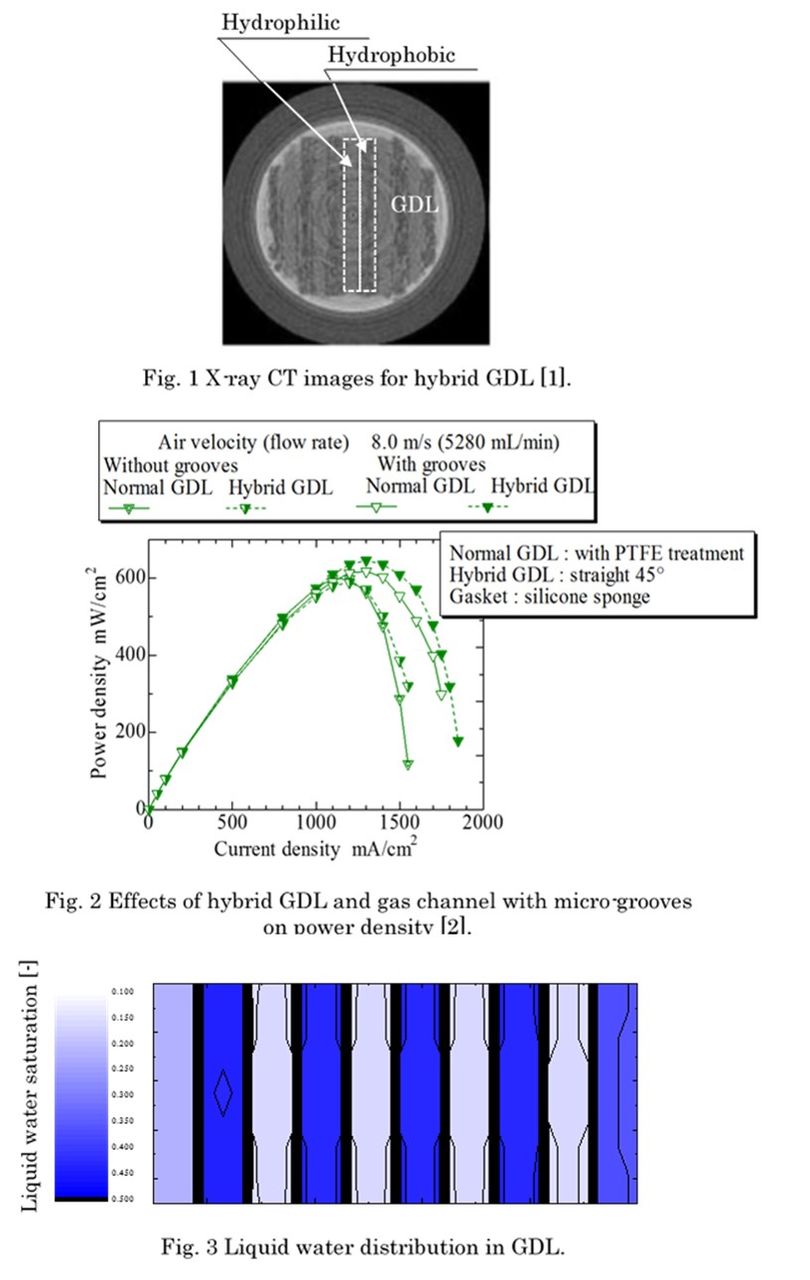 Numerical Simulation of PEMFC Performance Considering Striped ...