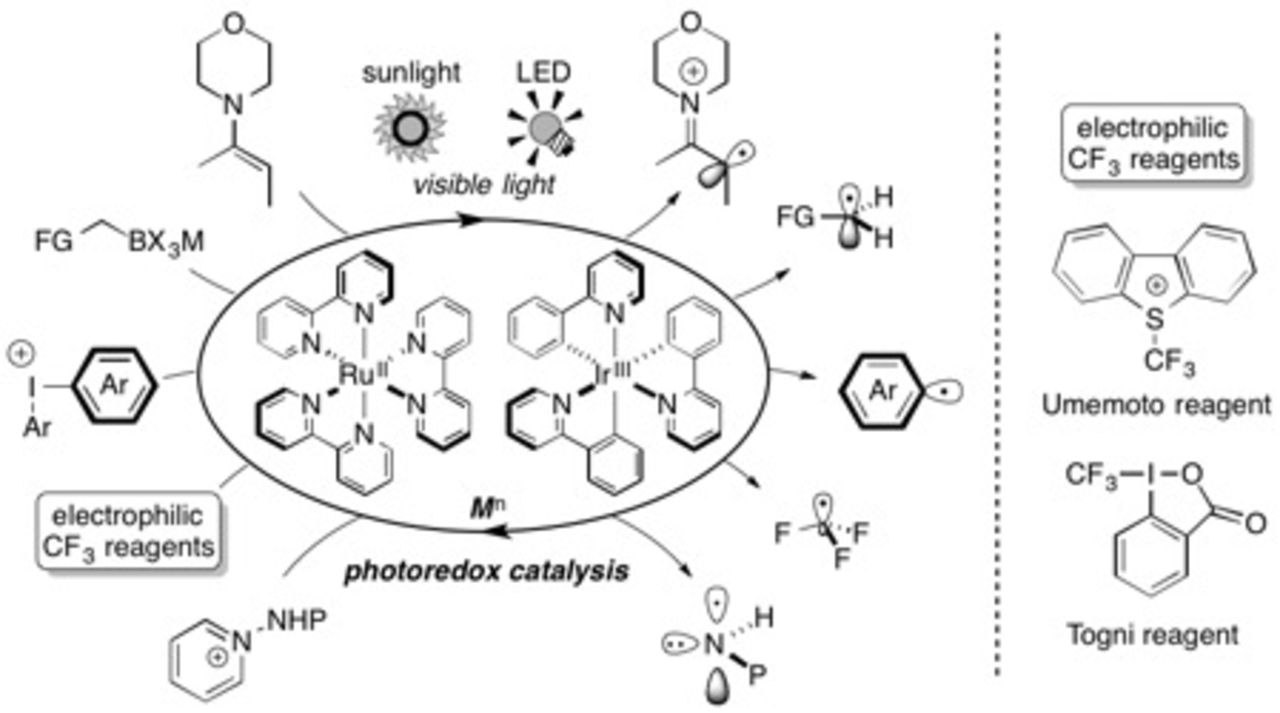 (Invited) Photoredox Catalysis: An Easy Access to Versatile Radical ...