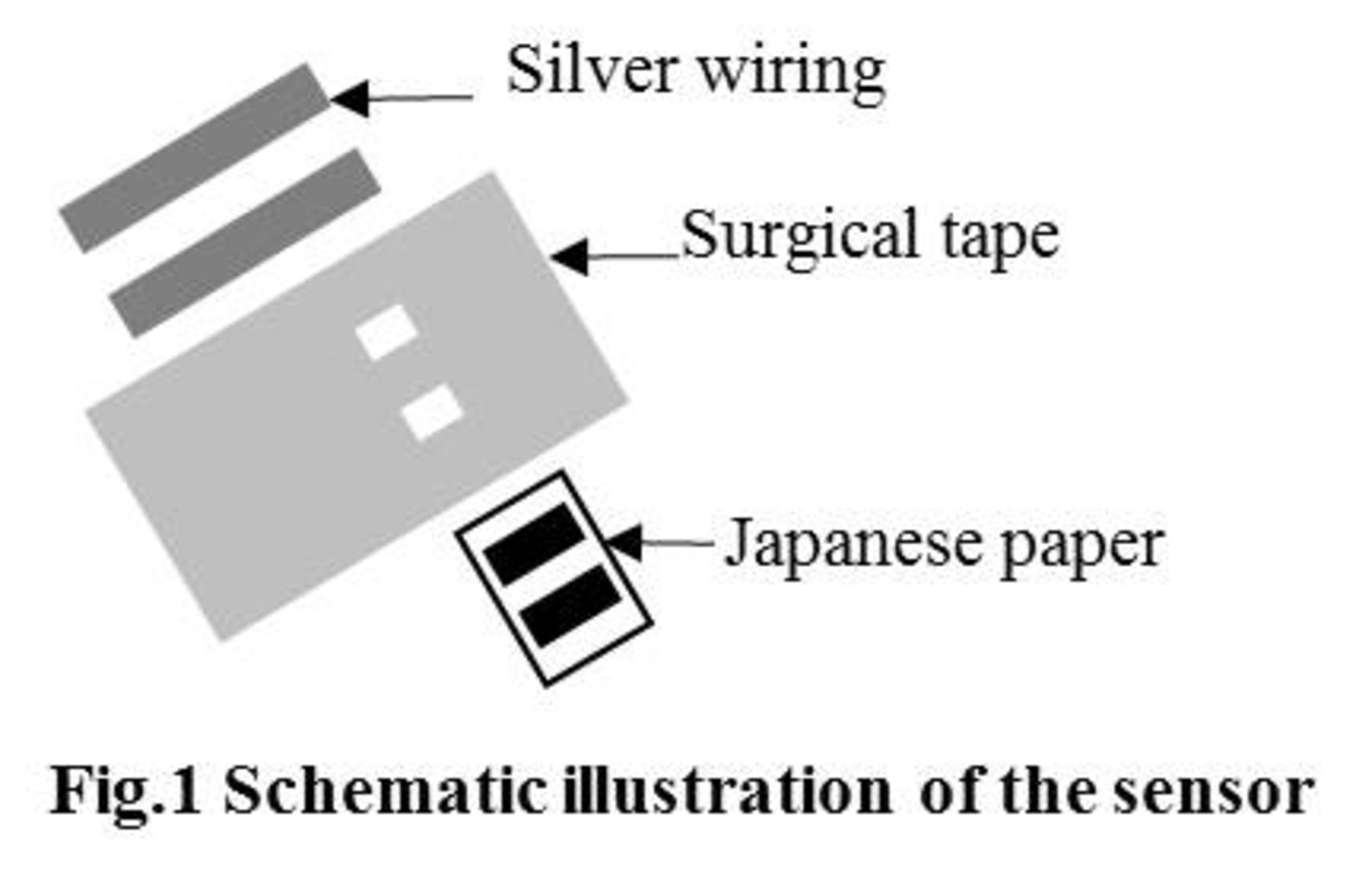 Screen-Printed Paper-Based Impedimetric Sensor Using Flexible Silver ...