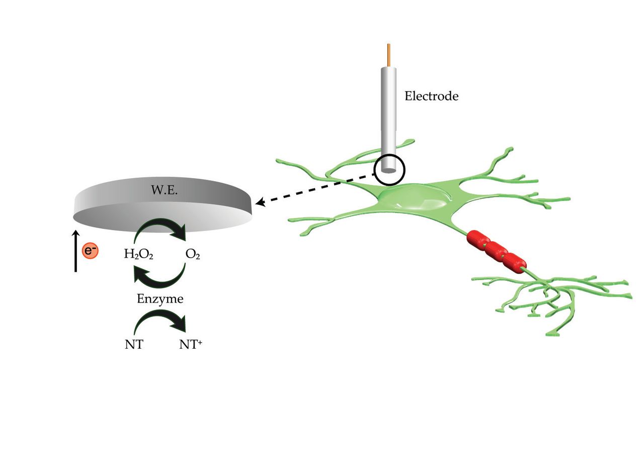 (Invited) Brief Historical Overview and Current Status of ...