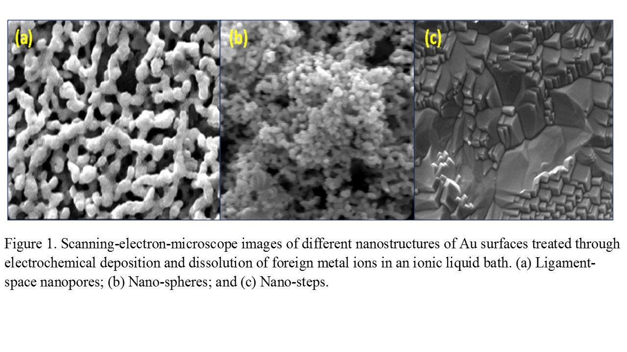 Foreign Metal-Ions Tuned Electrochemical Processes in Ionic Liquids for Bulk-Metal Surface ...