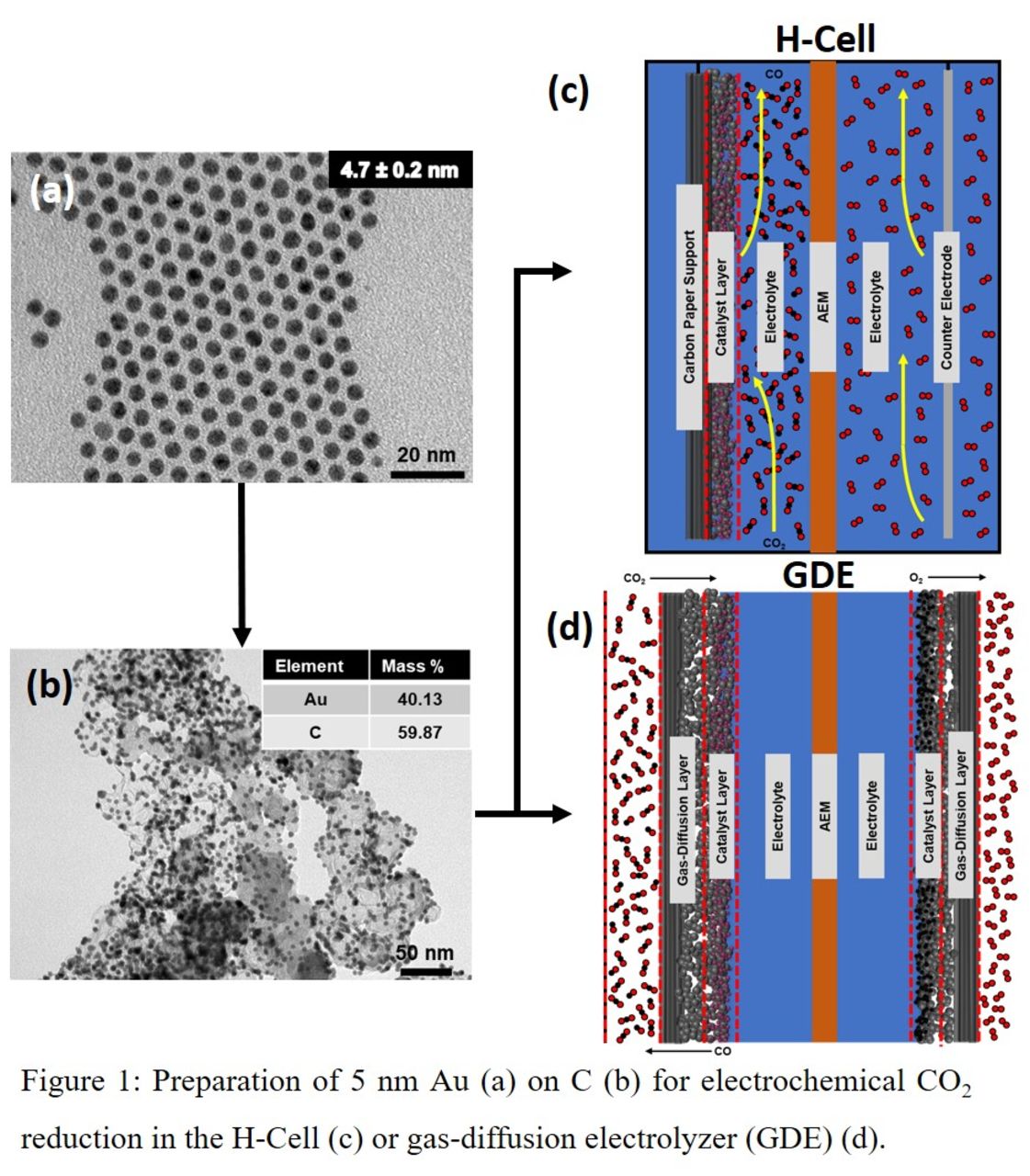 H-Cell Vs Gas Diffusion Electrolyzer for Evaluating Intrinsic Activity ...