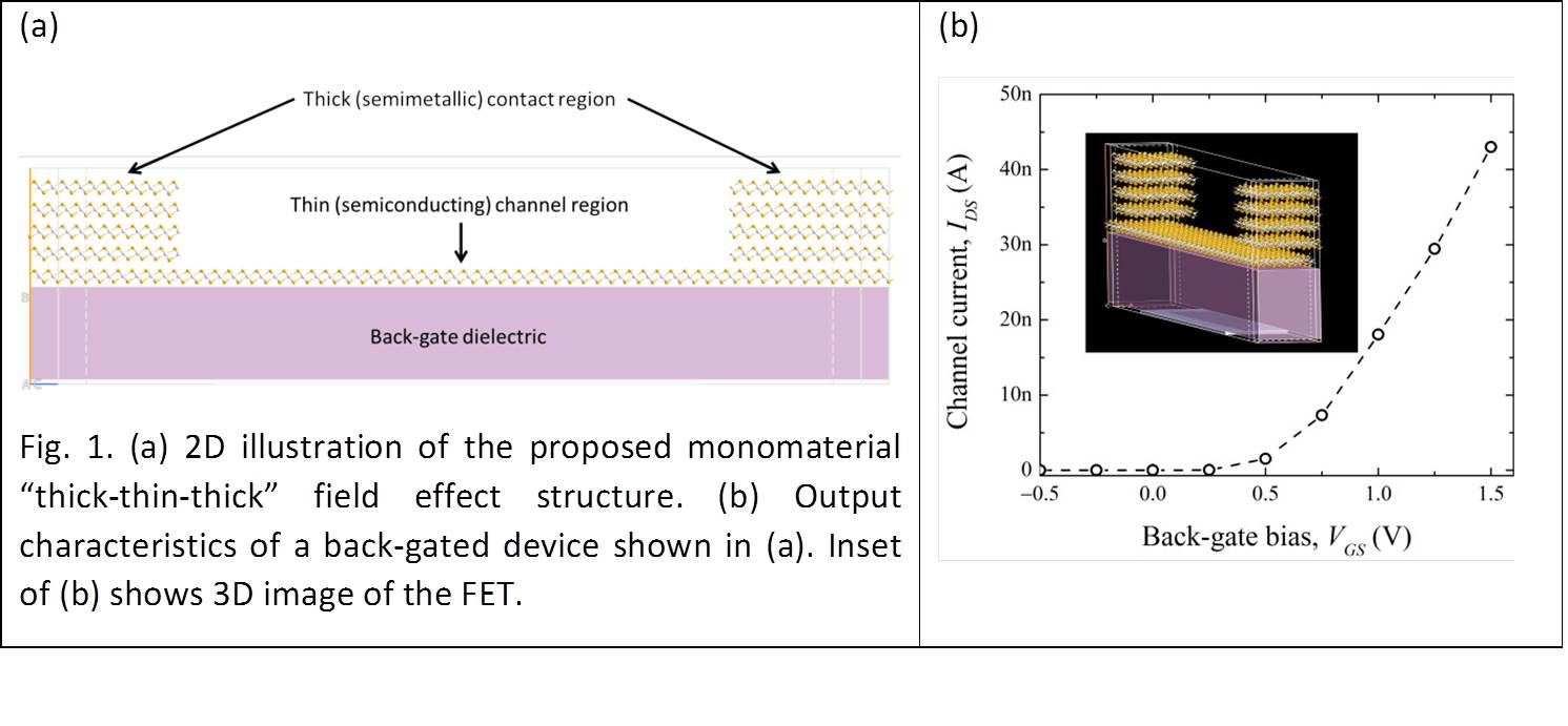 Schottky-Junction TMD-Based Monomaterial Field-Effect Transistor ...