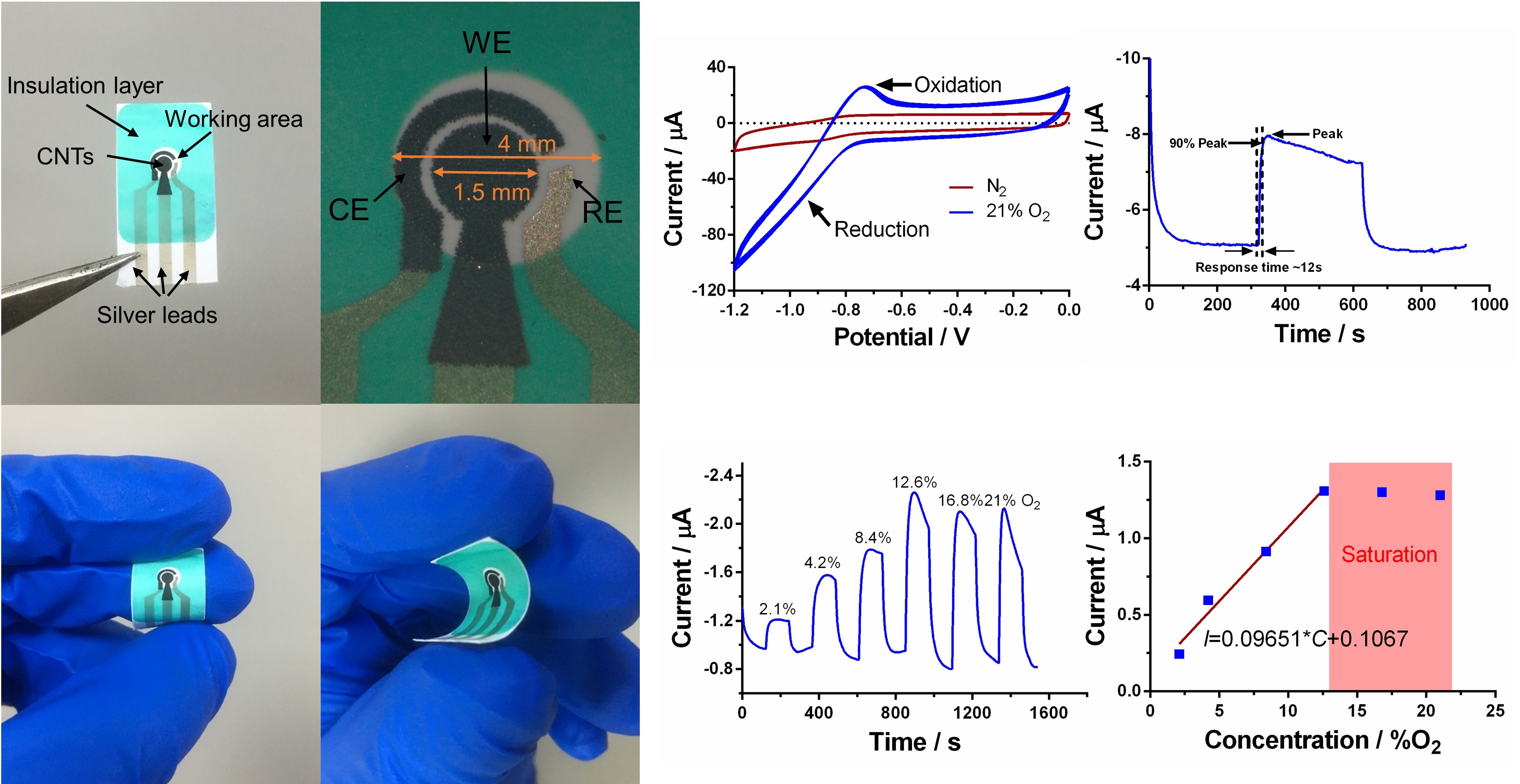 Flexible Screen-Printed CNT Electrode on Porous PTFE Substrate with ...