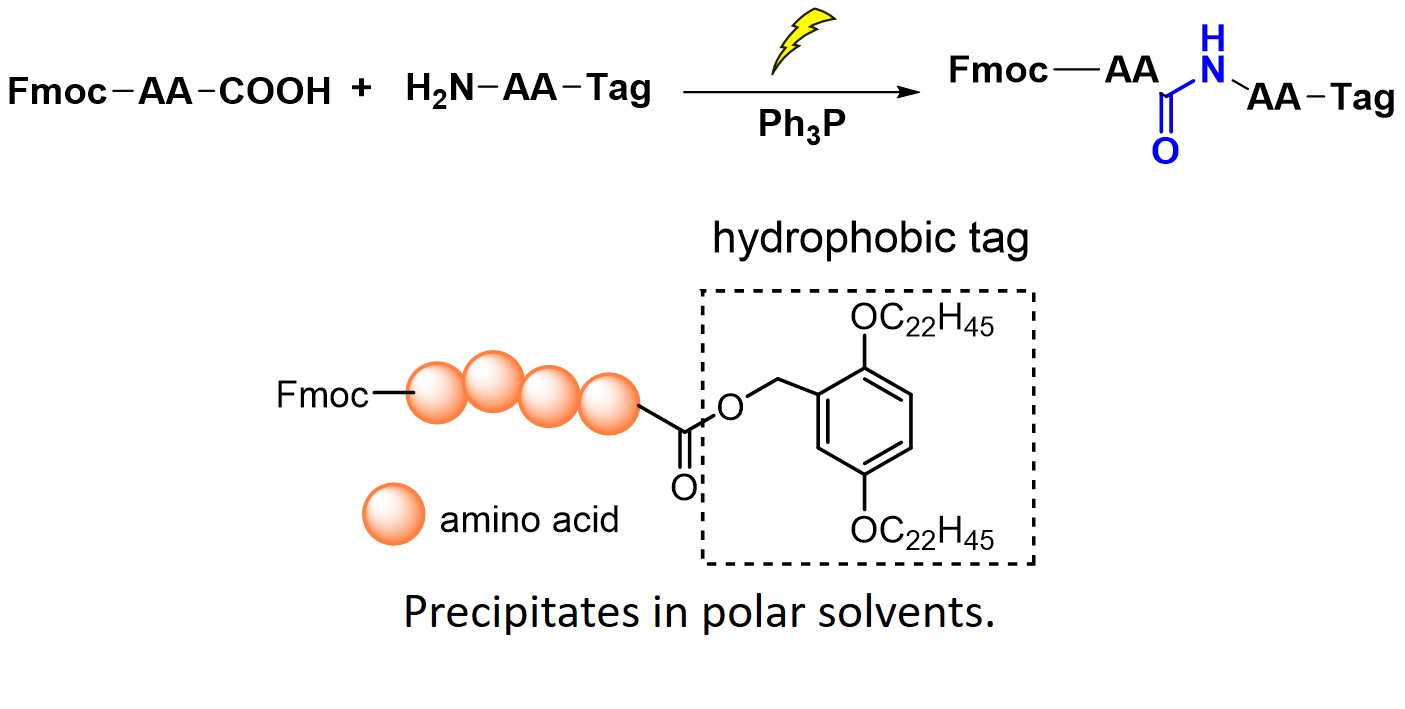 Electrochemical Oligopeptide Synthesis Assisted By a Soluble Tag Method ...