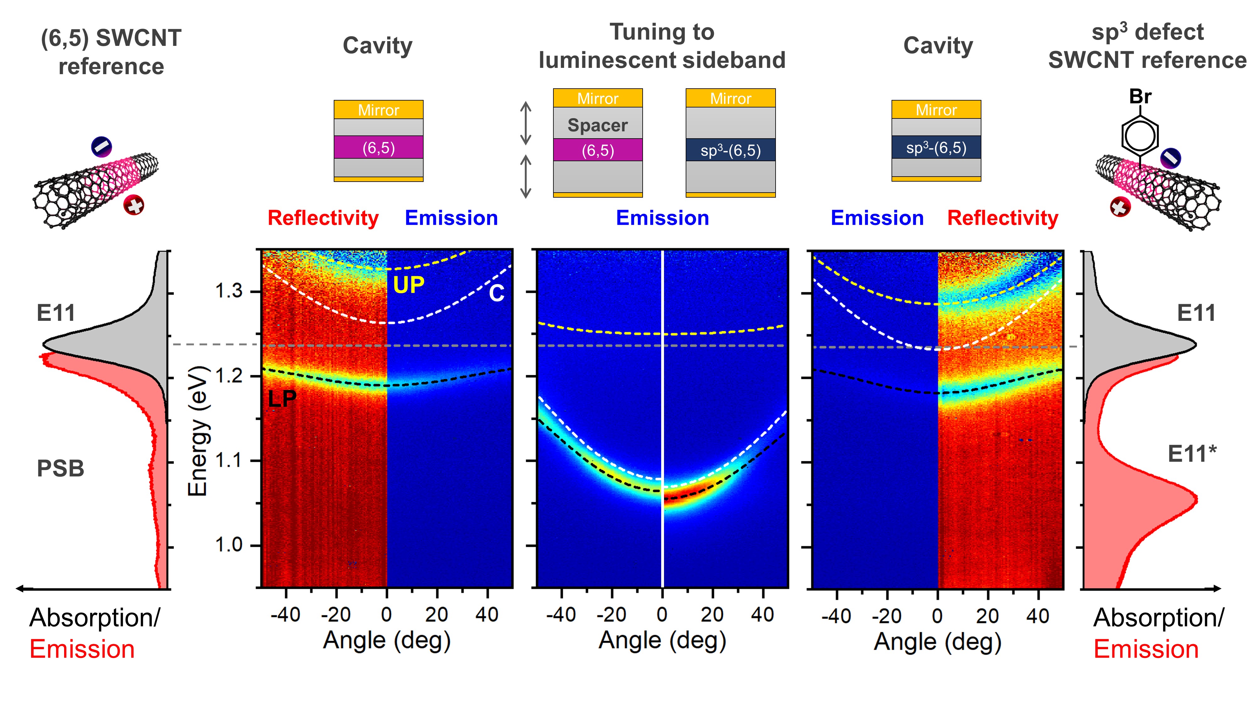 Radiative Pumping of Exciton-Polaritons by Luminescent sp3 Defects in ...