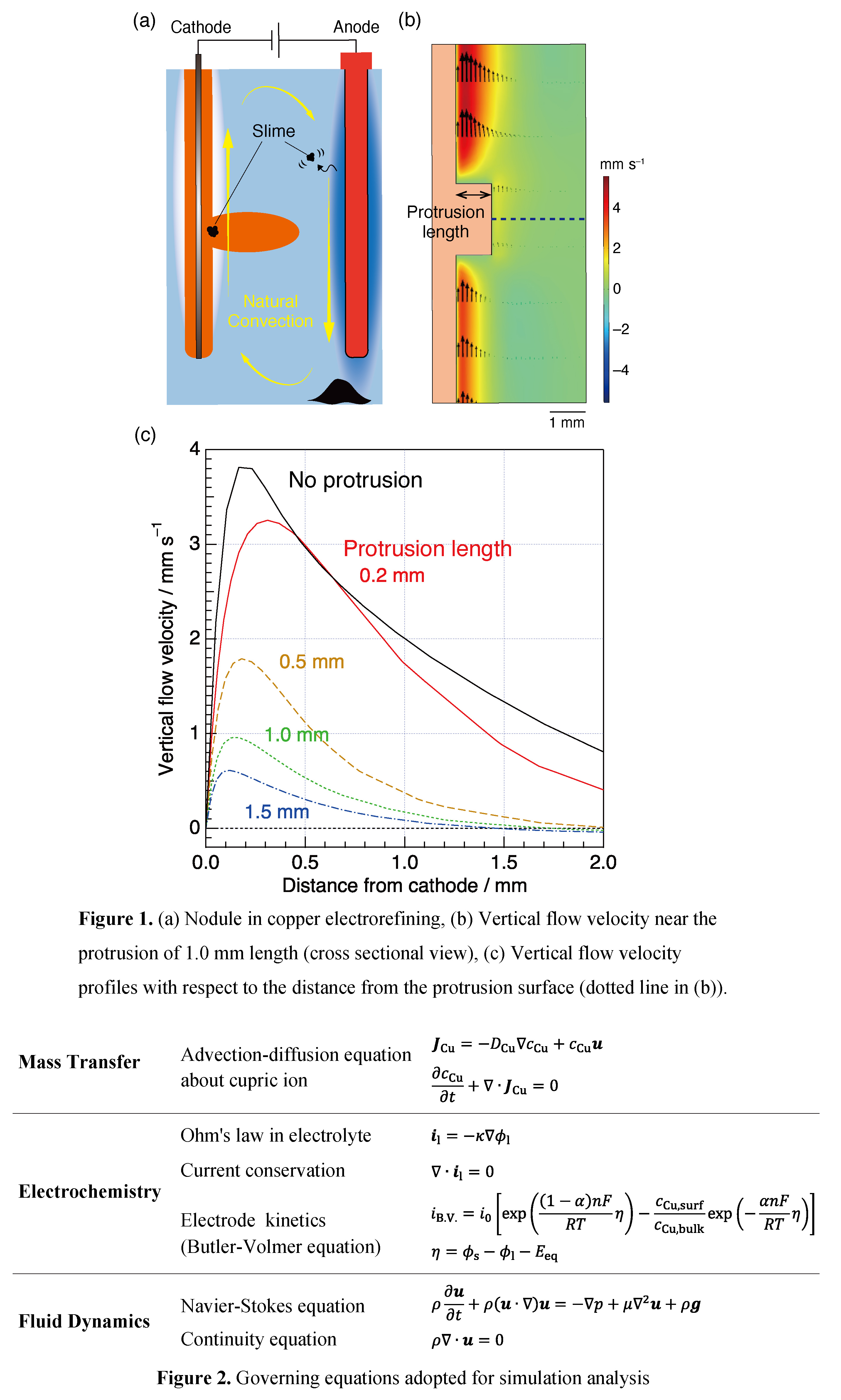 Growth of Nodules in Copper Electrorefining: Numerical Simulation of ...