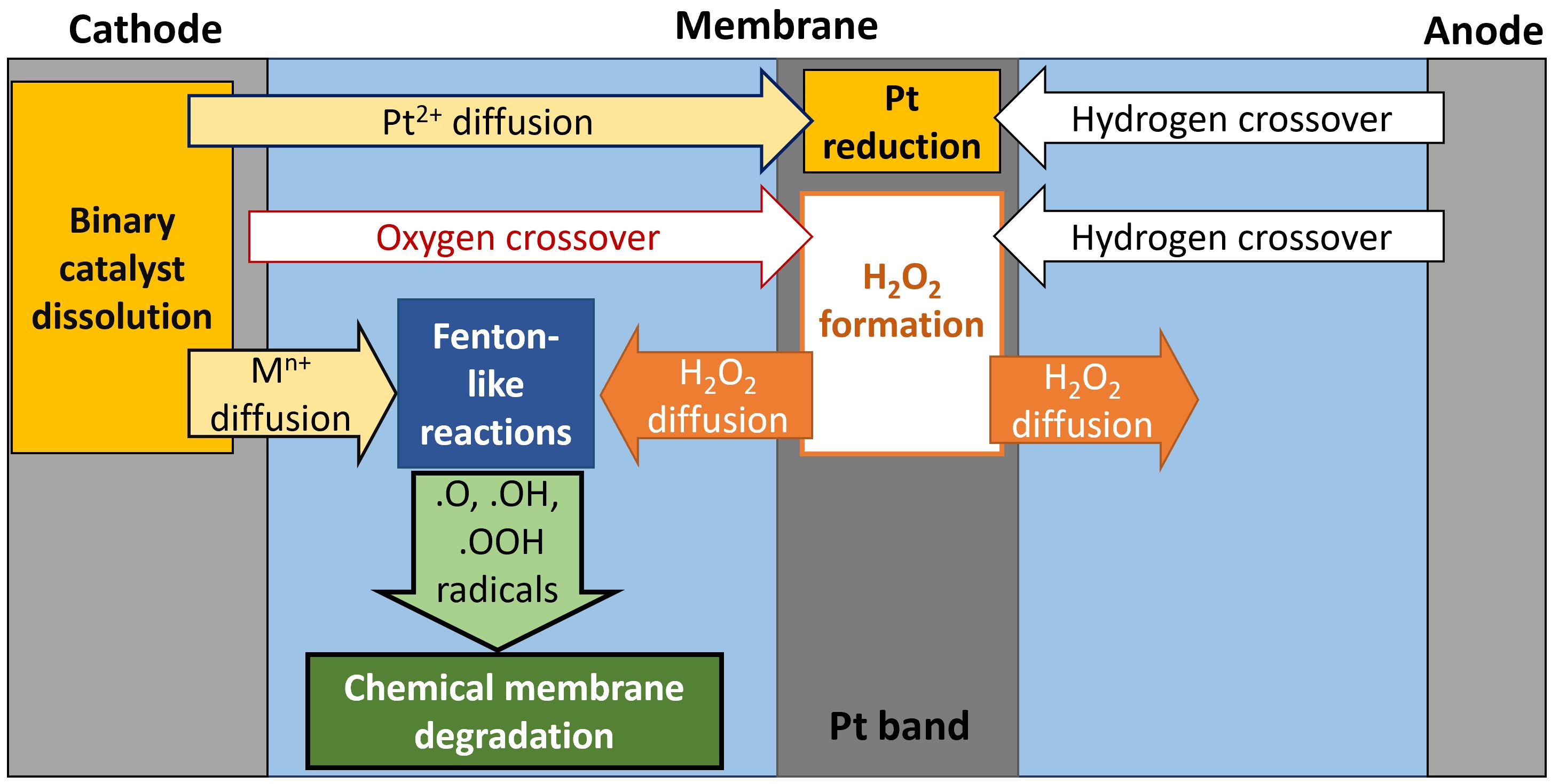Physical Model of Catalyst Dissolution, Platinum Band Formation ...