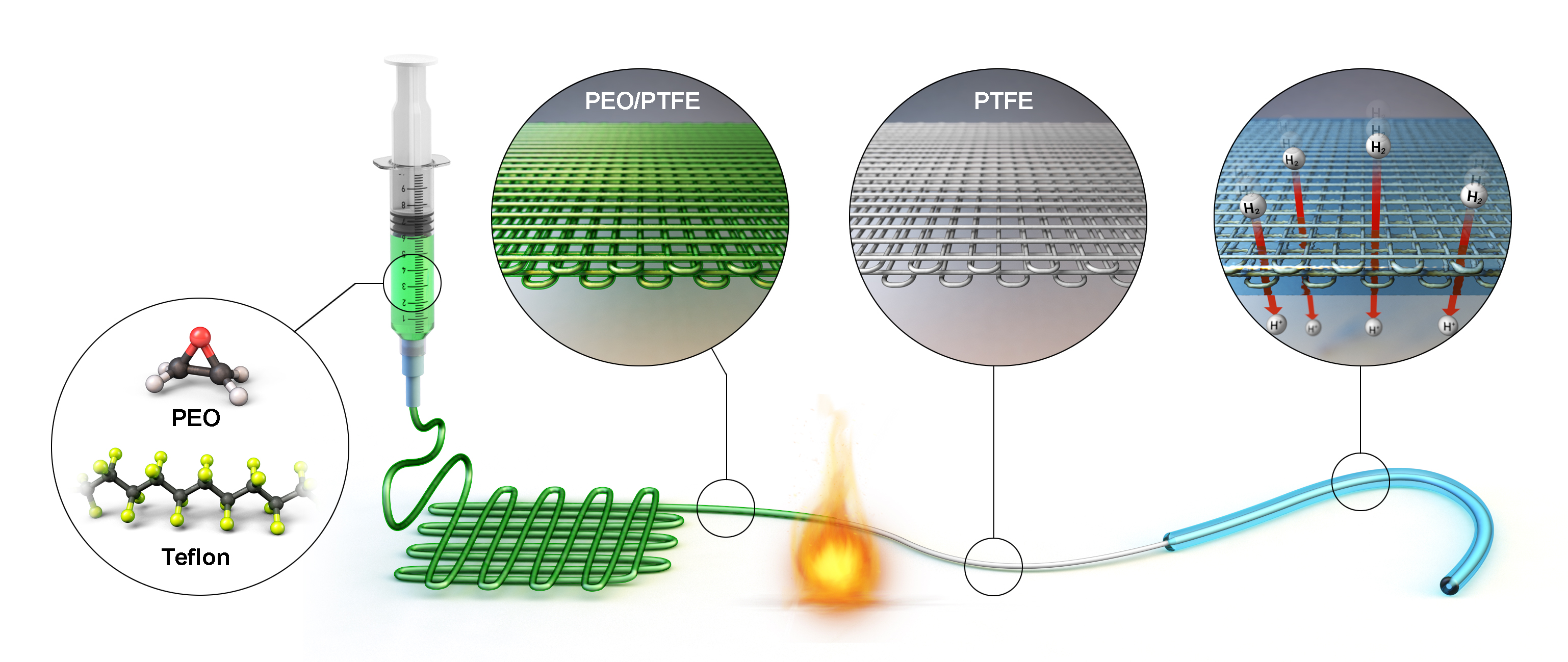 Novel Composite Membranes Reinforced By Vertically Aligned Electrospun ...