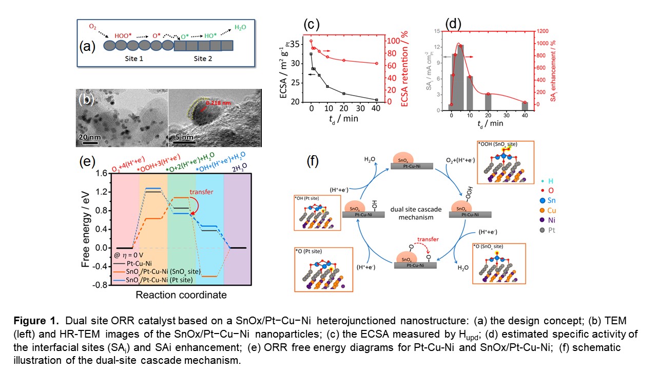 A New Dual Site Catalyst Design Concept for Promoting Reaction Kinetics ...