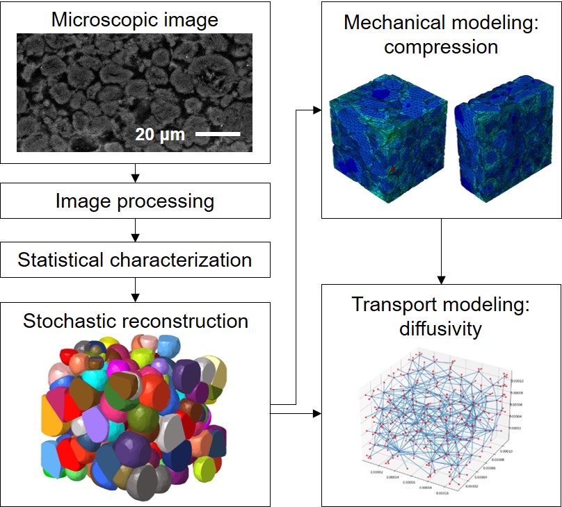A Stochastic Microstructure Reconstruction-Based Mechanical and Transport Modeling Approach for ...
