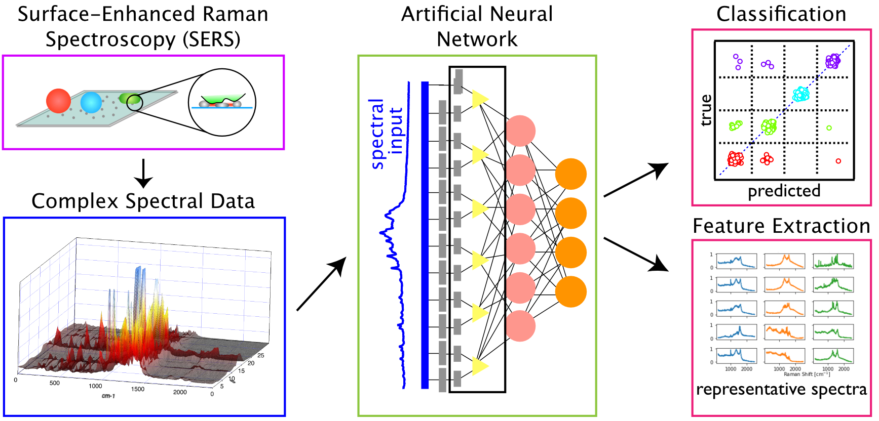 Deep Learning Combined with Surface-Enhanced Raman Spectroscopy for ...