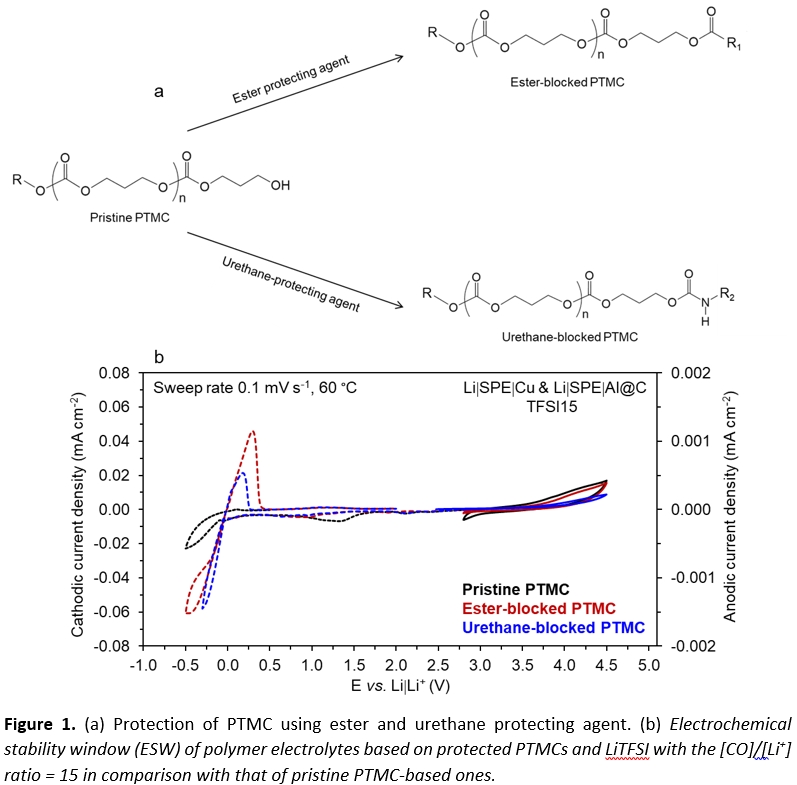 Low-Molecular-Weight Aliphatic Polycarbonate-Based Polymer Electrolytes ...