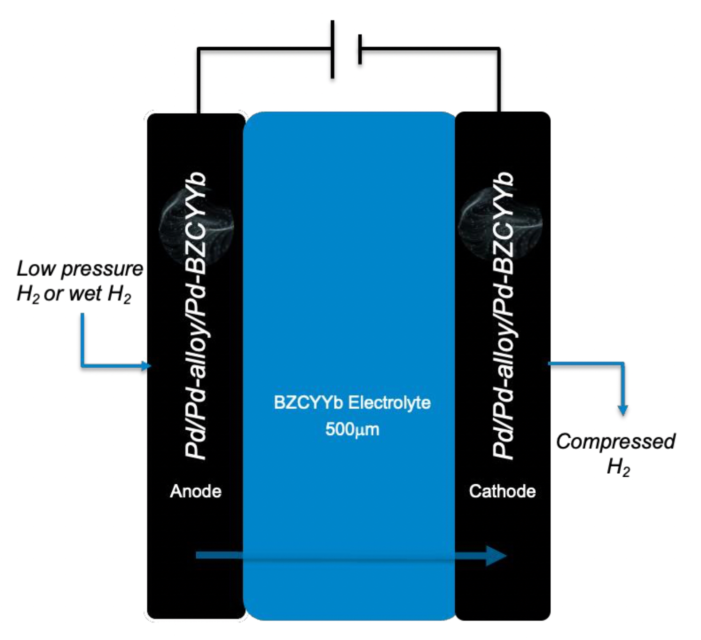 Direct Measurements of Hydrogen Exchange and Diffusion Kinetics at ...