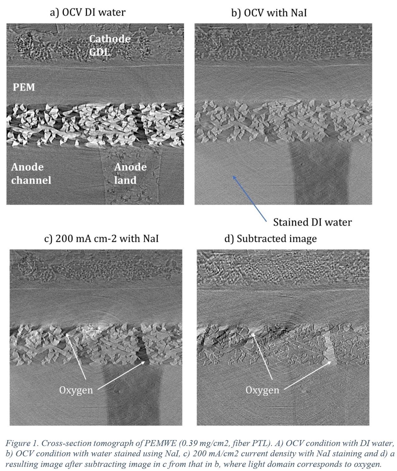 (Invited) Understanding Oxygen Distribution in the Porous Transport ...