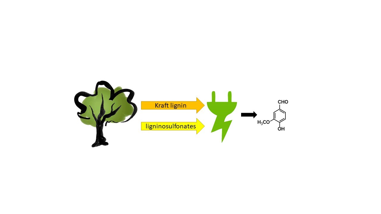 Electro-Conversion of Lignin to Highly Value-Added Products - IOPscience