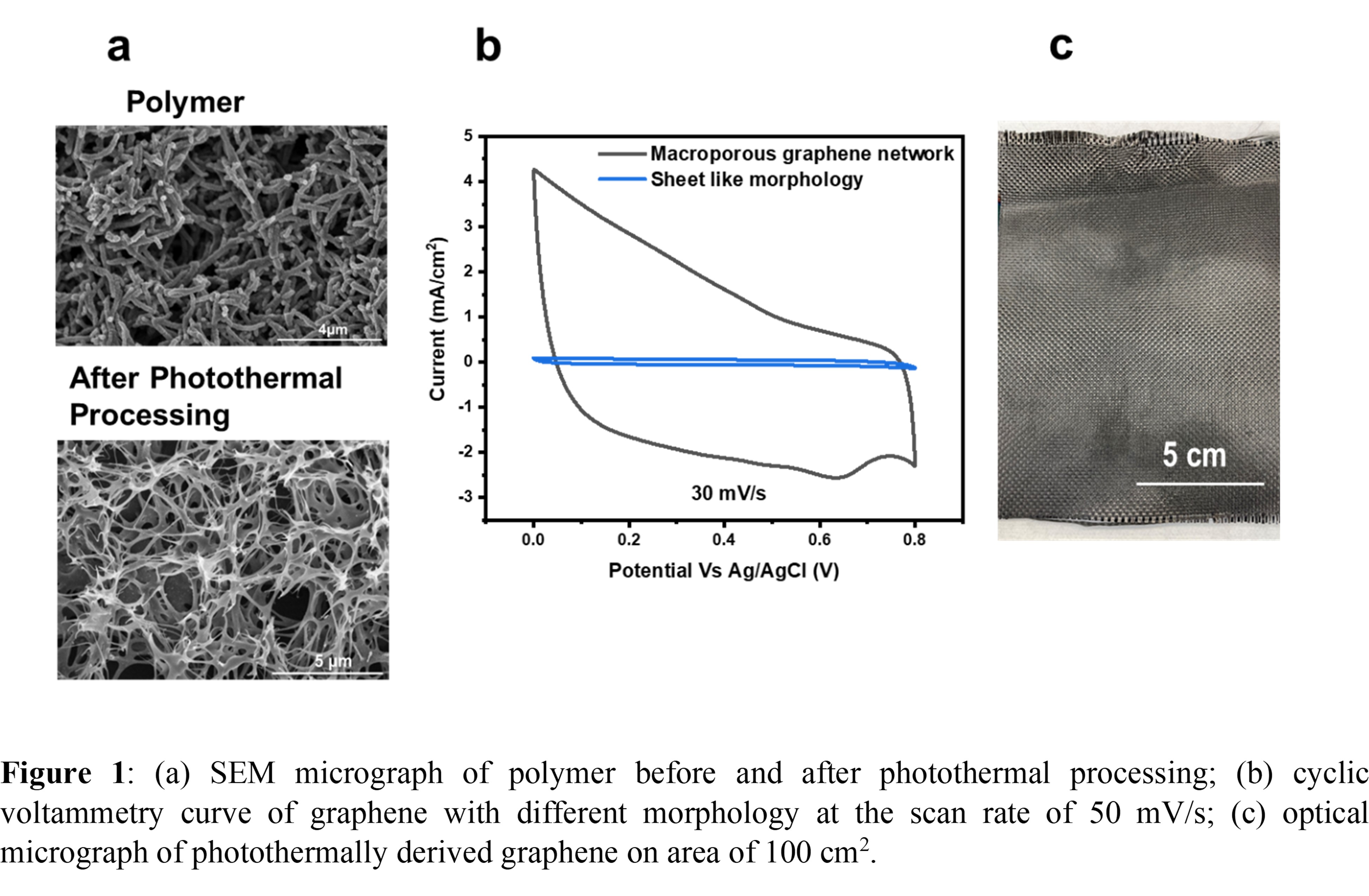 Rapid, Large Area Fabrication of Porous Graphene Networks Using ...