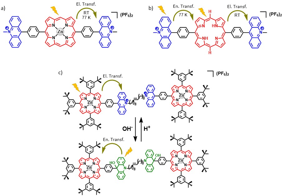 Photoinduced Processes in Molecular and Supramolecular Arrays Based on ...