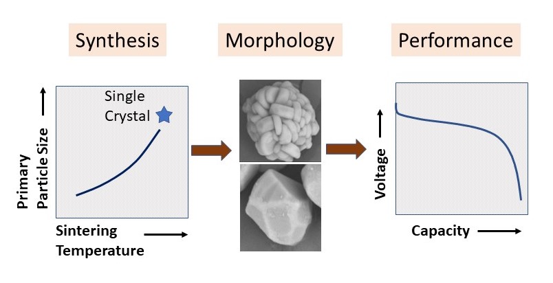Impact of Morphology of Polycrystalline and Single Crystal Nickel Rich ...
