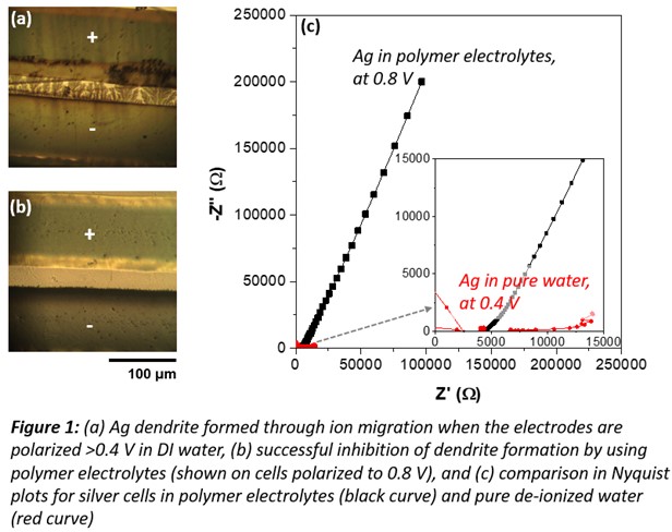 Polymer Electrolytes for Printed 2-D Microcapacitors with Silver ...