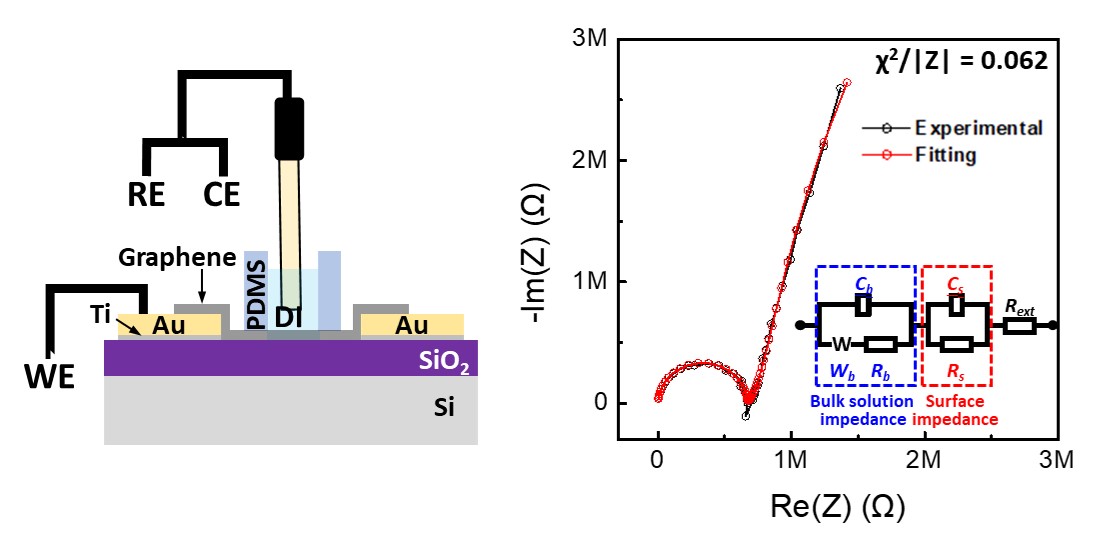 An Exploration of Graphene-Water Interface Electrochemical Circuit Model - IOPscience