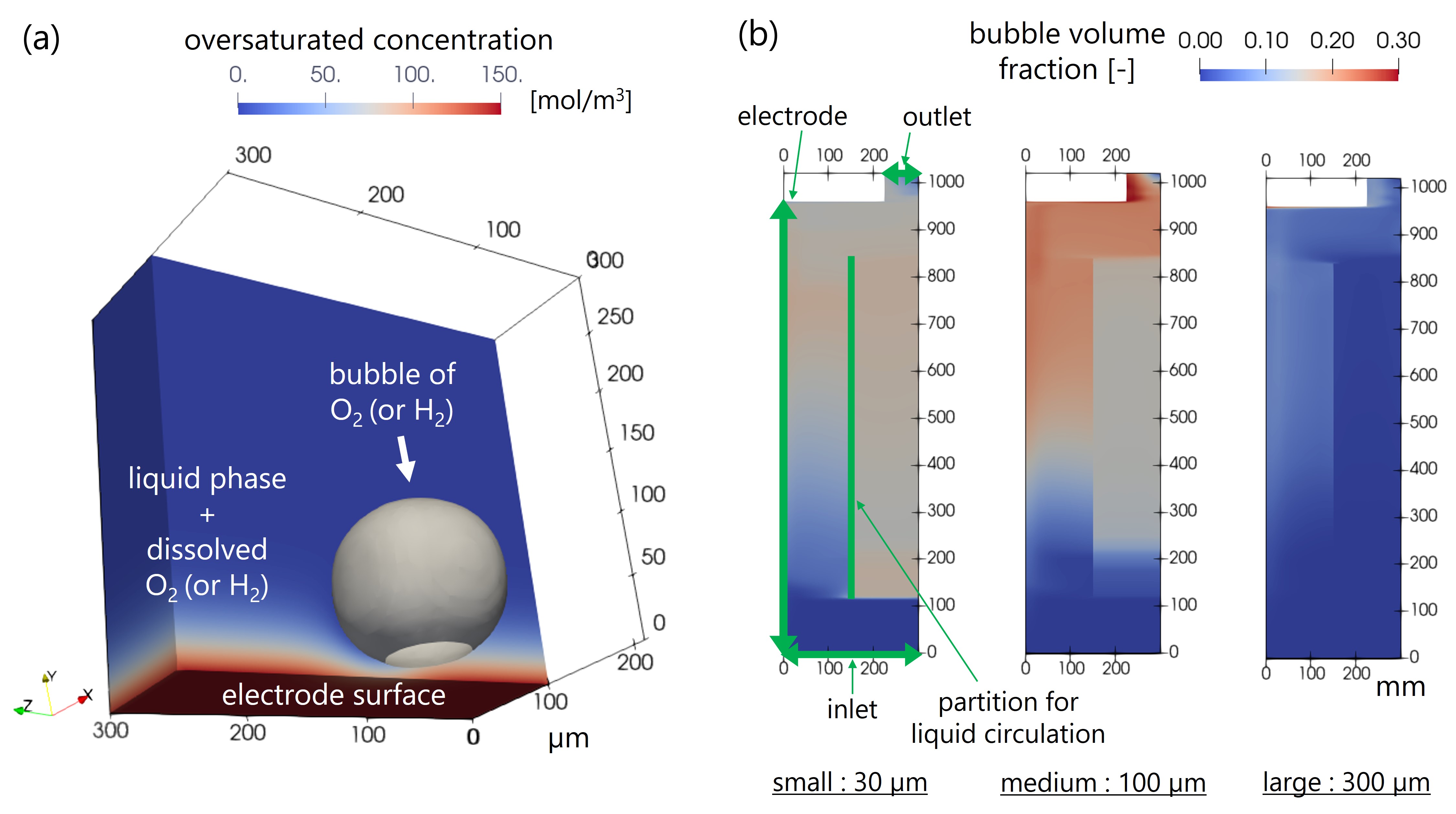 Multi-Scale Simulations of Bubble Transport in an Alkaline Water Electrolyzer - IOPscience