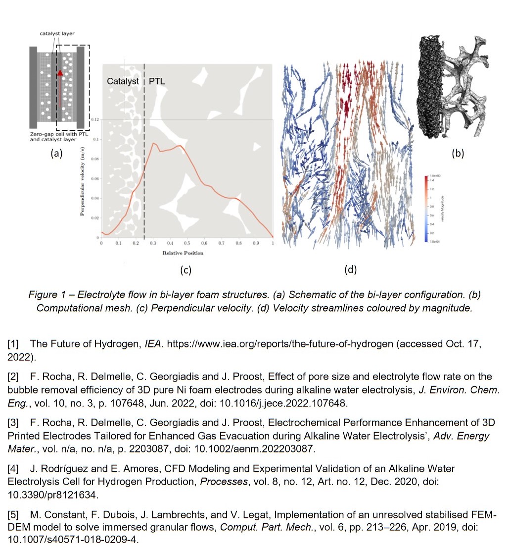 Towards Multiphase Modeling and Simulation of Alkaline Water Electrolysis through Pore-Resolved ...