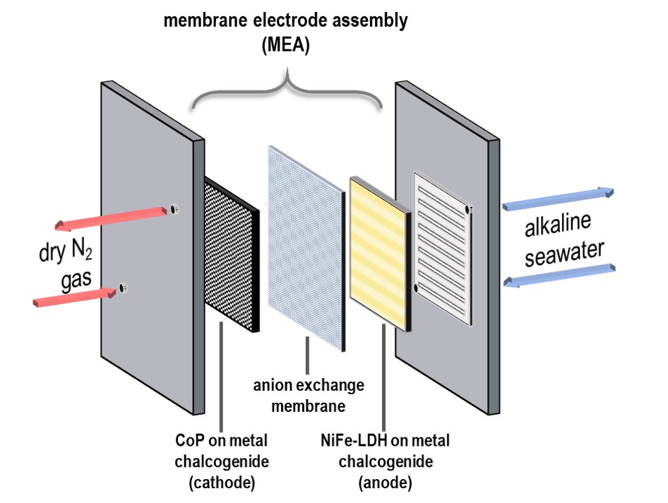Design of Noble-Metal-Free Membrane Electrode Assemblies Based on Metal ...