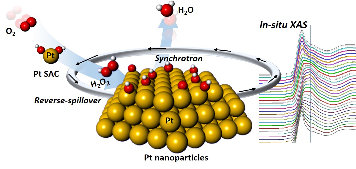 Pt Single-Atom Catalysts Neighbouring Pt Nanoparticles with Synergistic ...