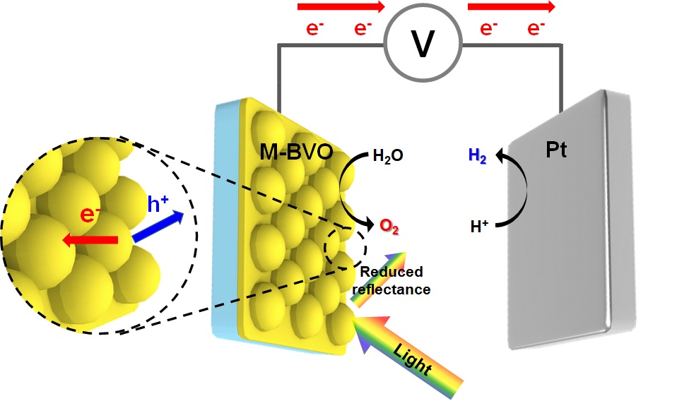 (Digital Presentation) Moth-Eye Structured BiVO4 Photoanode with ...