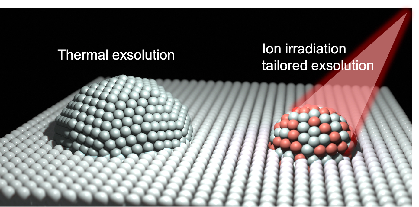 Ion Beam as an External and Dynamic Metal Reservoir to Induce ...