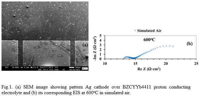 ECS Meeting Abstracts, Volume MA2023-01, Number 54, August 2023, 2023 ...