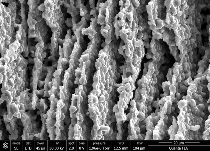 Issue 54 - Volume MA2023-01 - ECS Meeting Abstracts - IOPscience