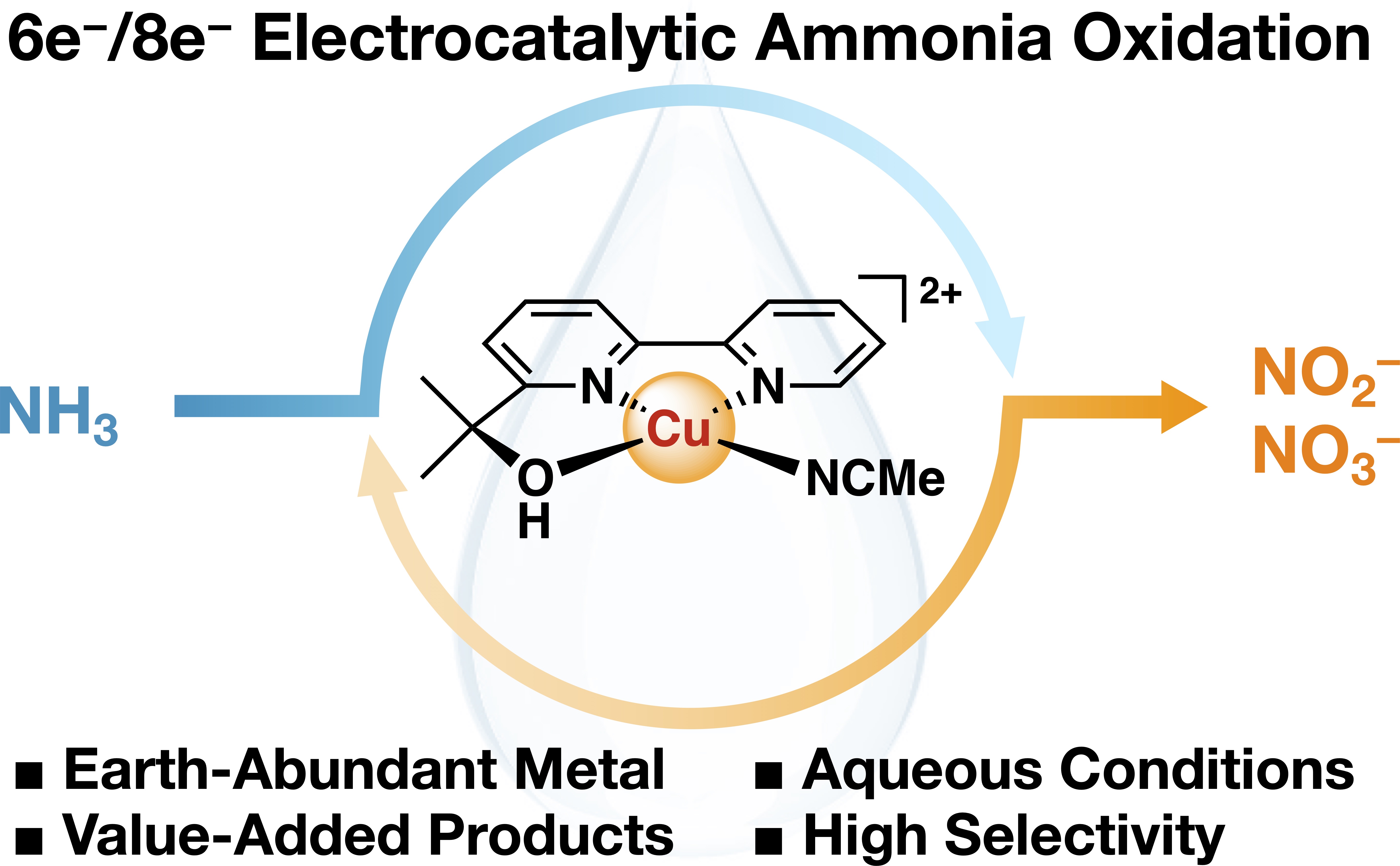 Electrocatalytic, Homogeneous Ammonia Oxidation in Water to Nitrate and ...