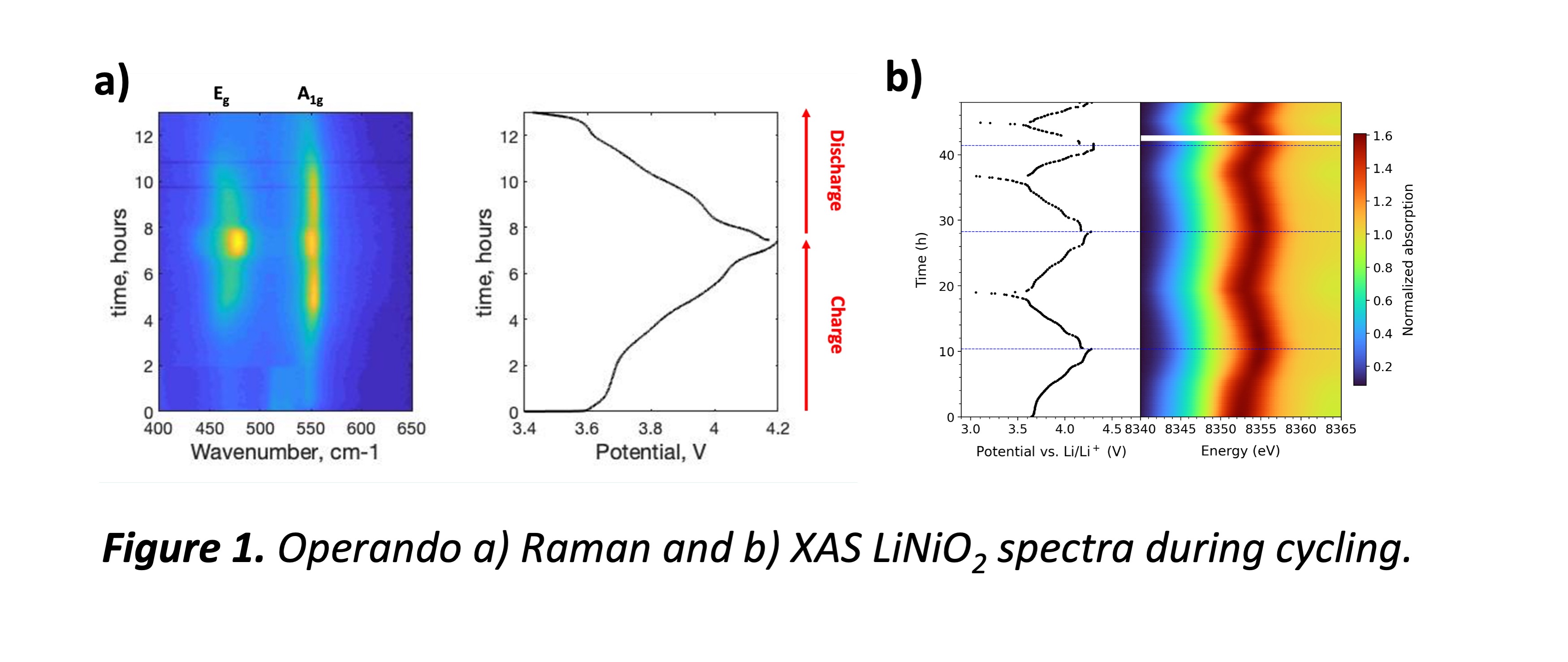 Understanding LiNiO2 Electronic Structure and Redox Mechanism by Raman and X-Ray Techniques ...