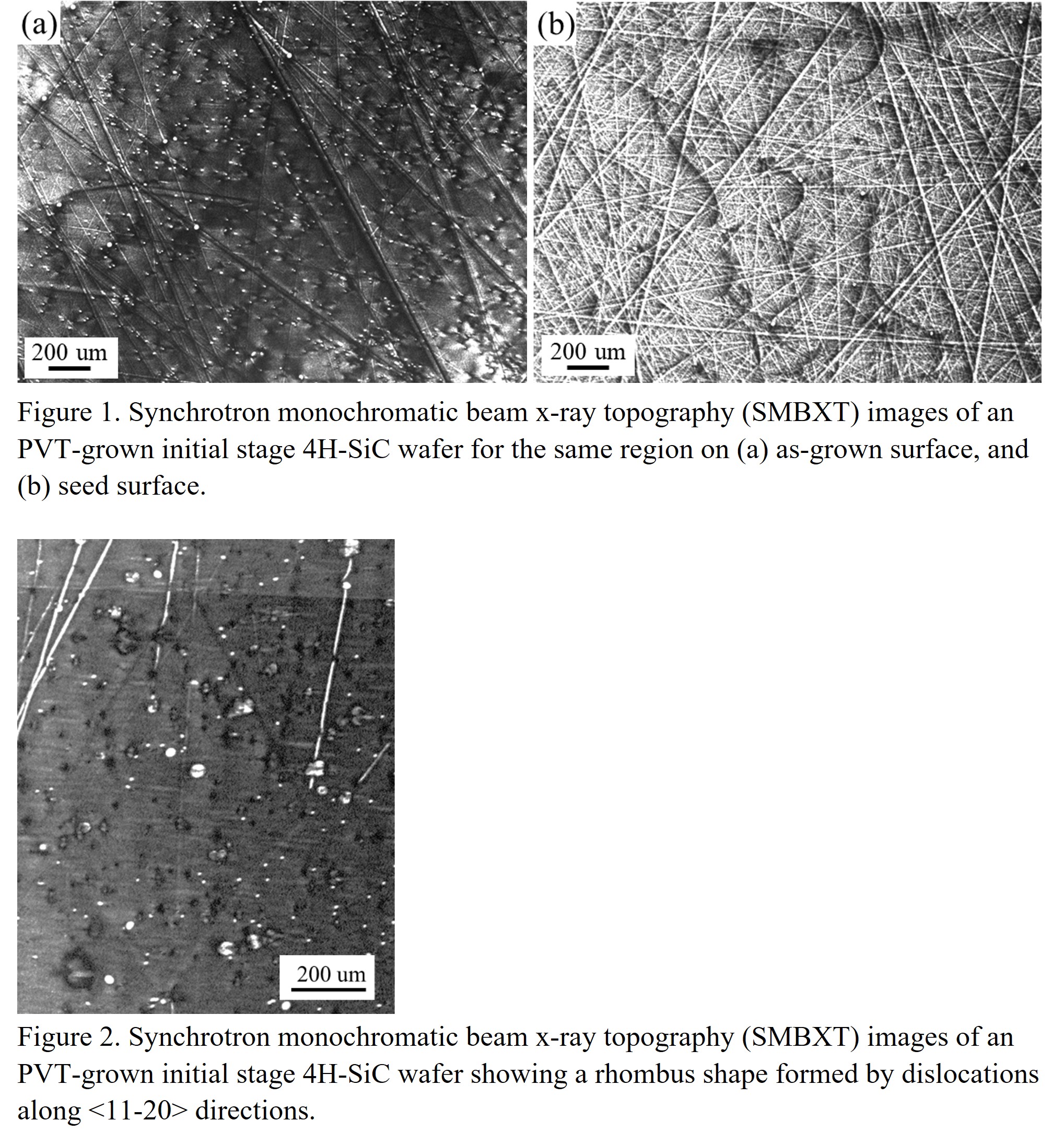 Synchrotron X-Ray Topography Studies for Defect Formation at the Early ...