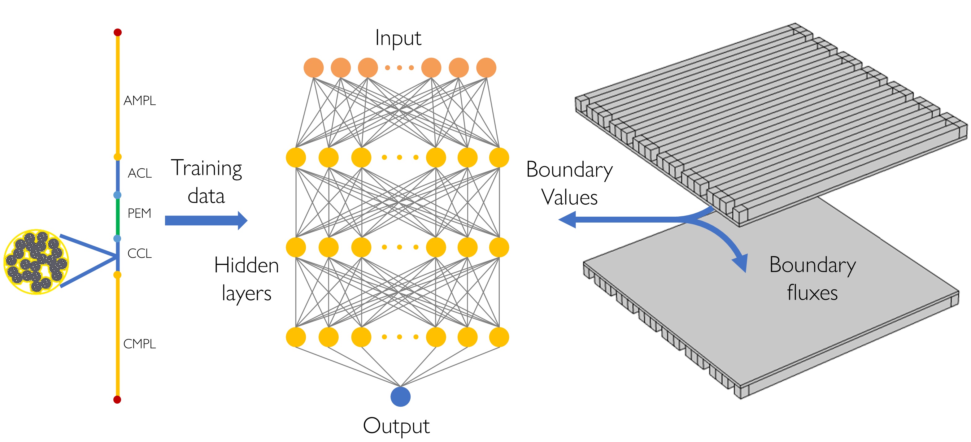 A Machine Learning Accelerated Hierarchical 3D+1D Model for Proton ...