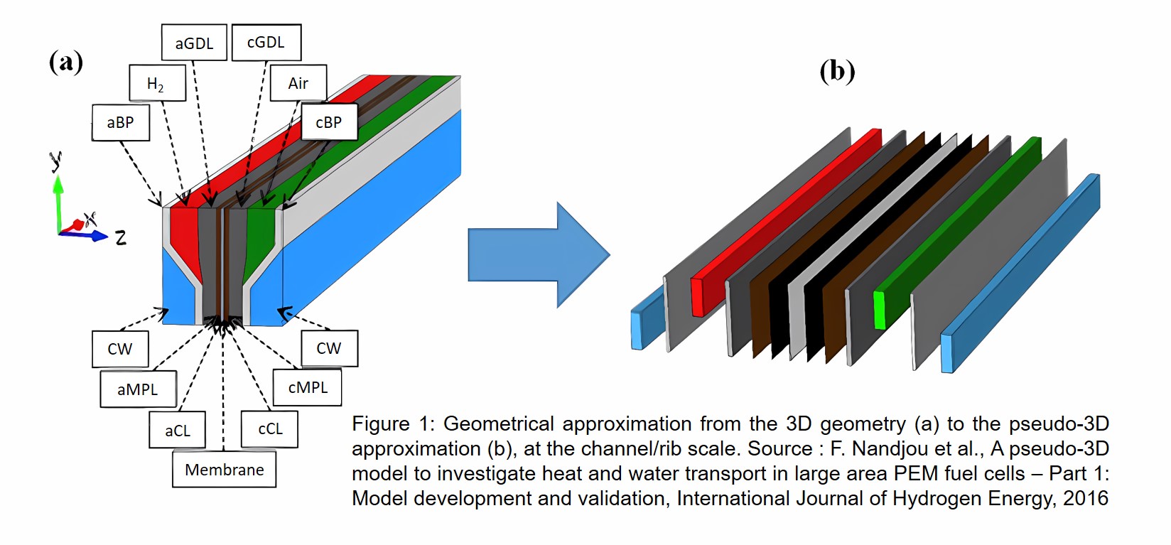 Taking Advantage of the Operating Heterogeneities in PEMFC: Numerical ...