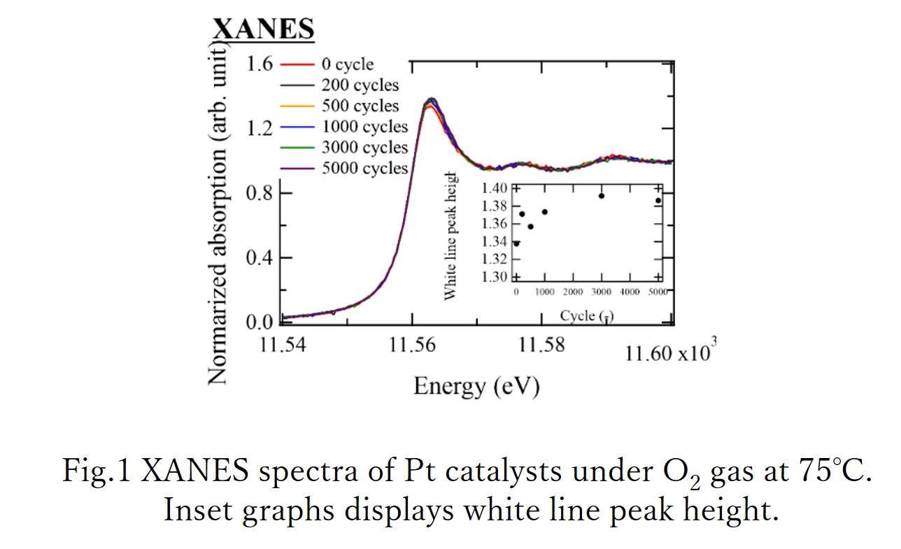Effect of Dissolved Gases on Pt Nanoparticle Catalysts Investigated By ...