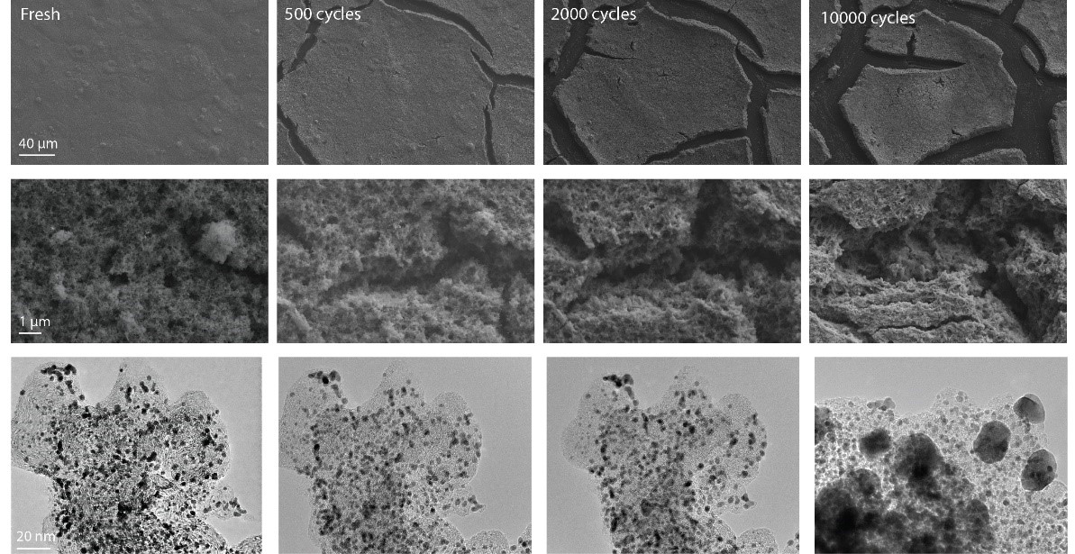 Investigation of Catalyst Degradation in Proton Exchange Membrane Fuel ...