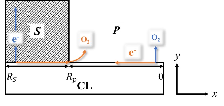 1D One-Phase Modeling of the Anode Catalyst Layer/Porous Transport ...