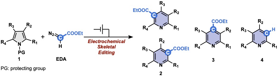 Construction of Pyridine Backbone Via Electrochemical Skeletal Editing ...