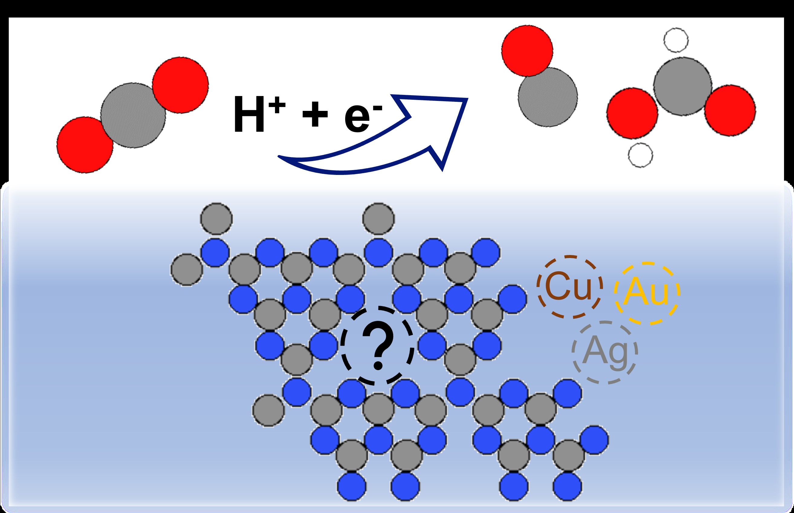 Two-Dimensional Carbon Nitride as a Support of Single Metal Atom for ...