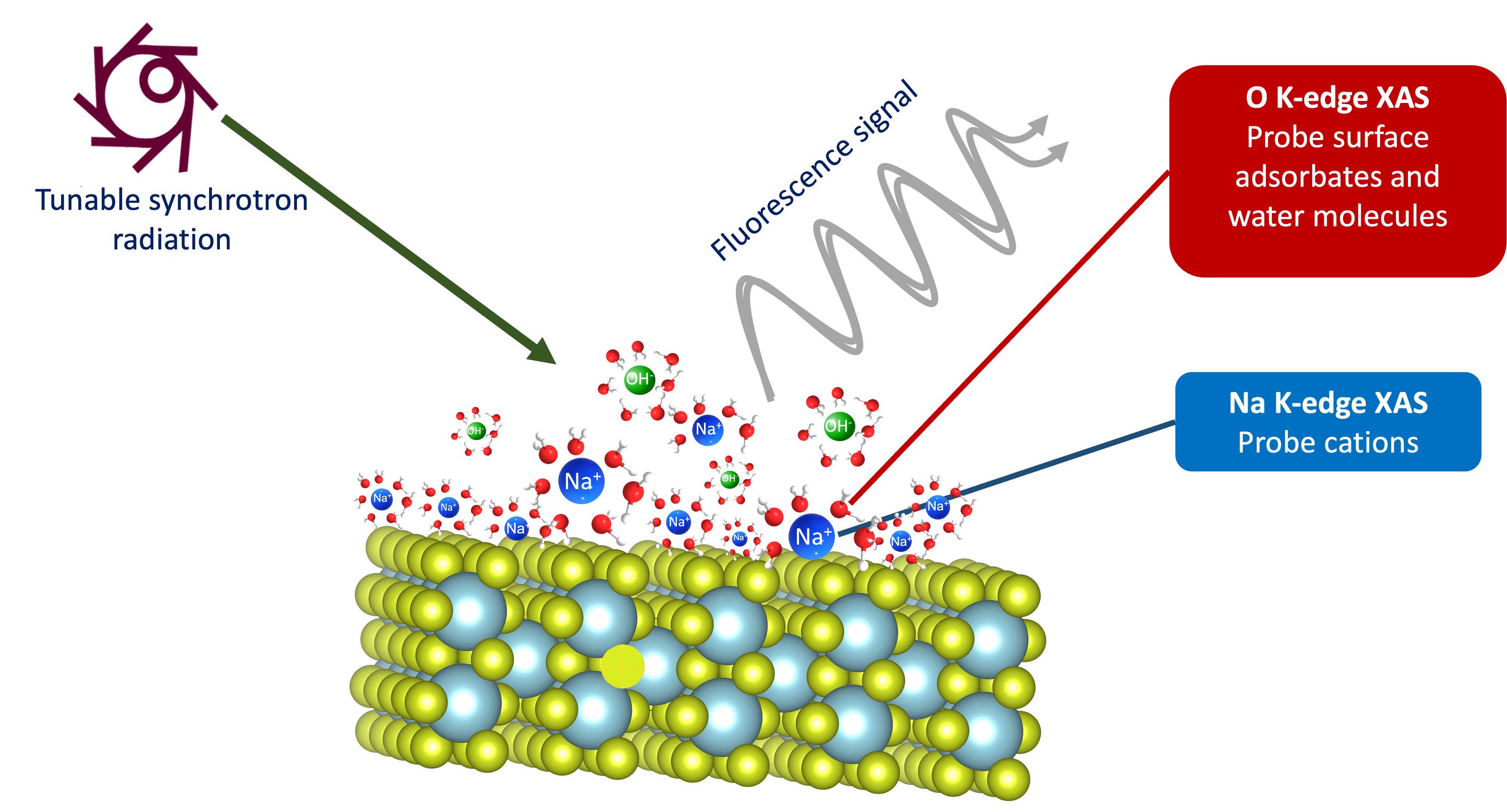 Probing of Near-Surface Cations during the Oxygen Evolution Reaction ...