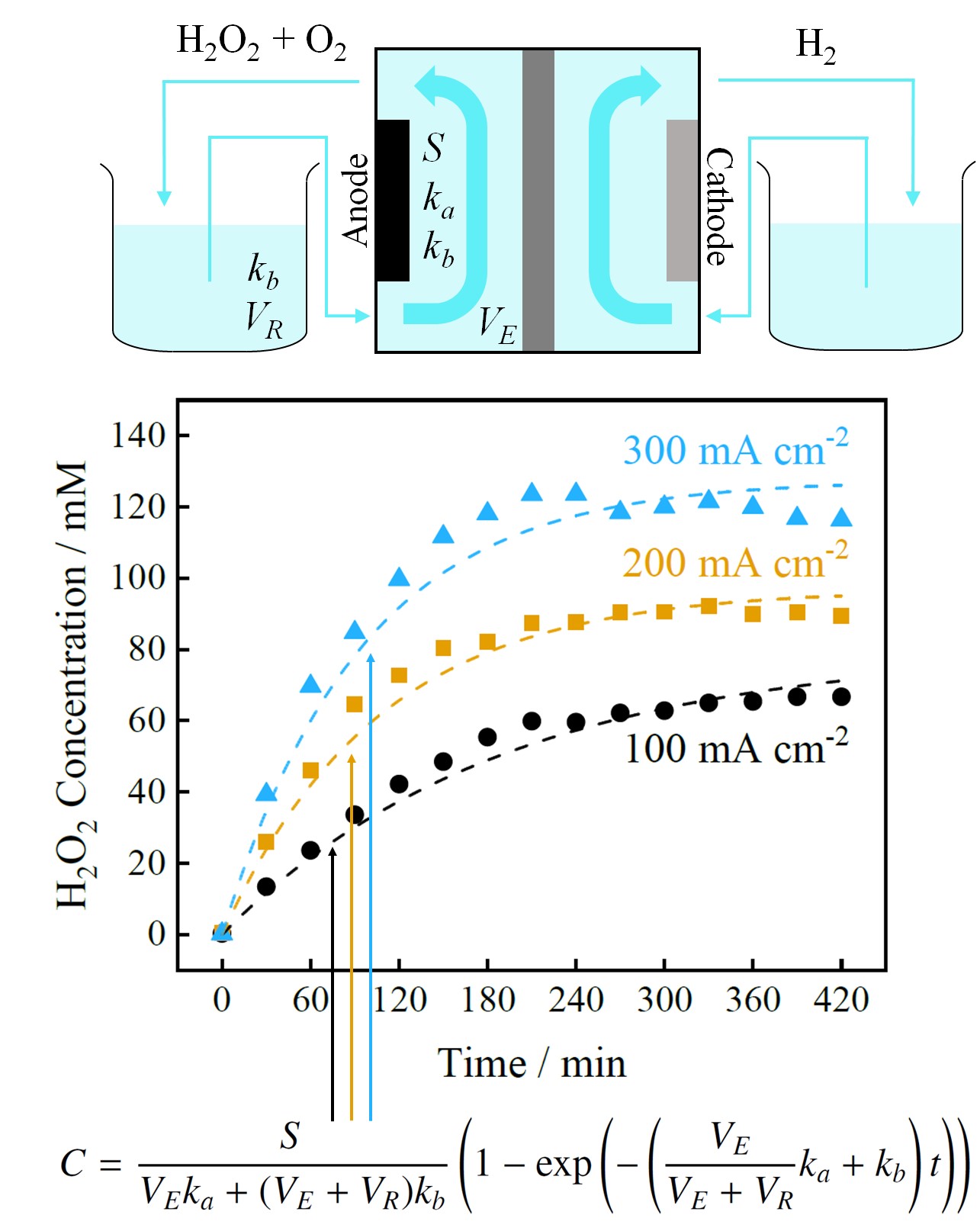 Modelling Anodic H2O2 Accumulation in Alkaline Water Electrolysis with ...