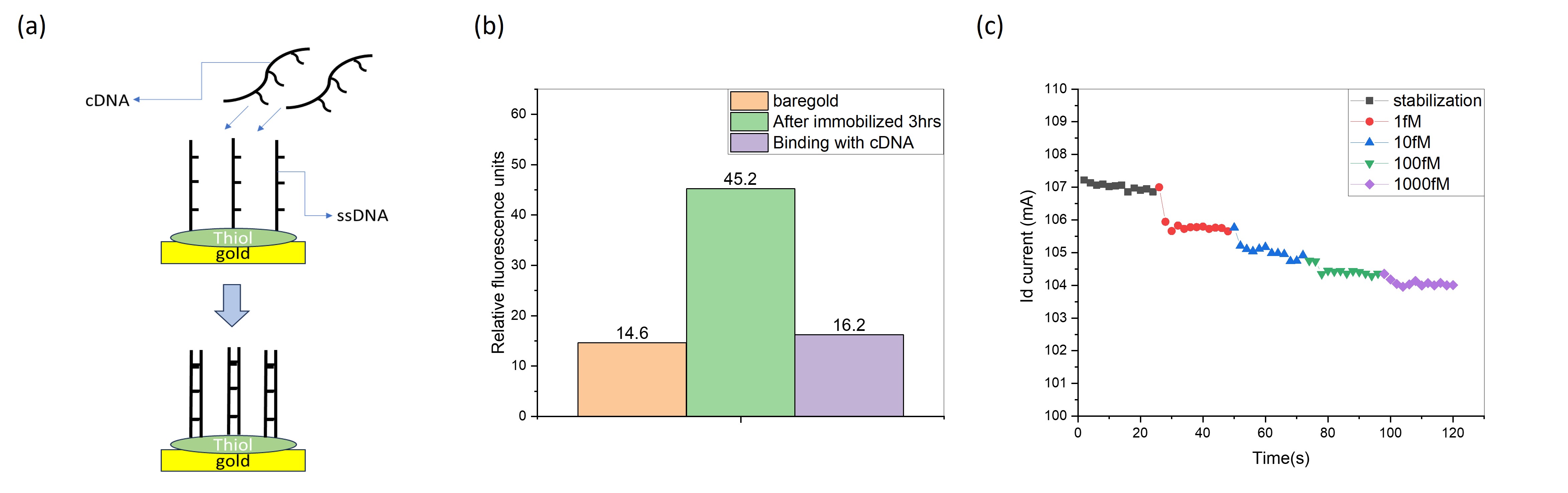 Rapid Detection of Methicillin Resistant Staphylococcus Aureus (MRSA ...