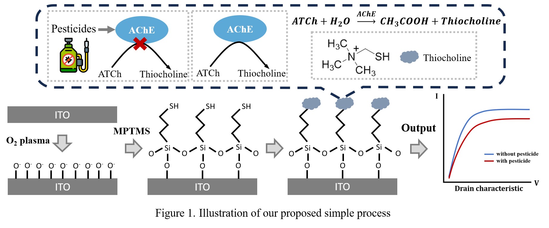 Detection of Thiocholine for Pesticide Qualification Using Indium-Tin ...