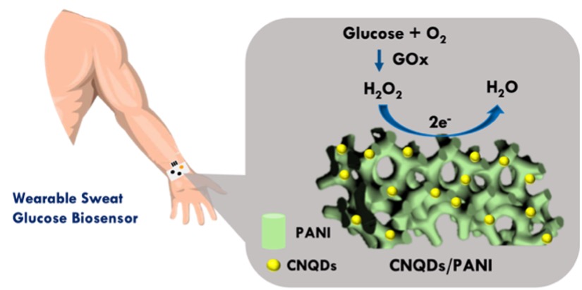 Developing Flexible Carbon Nitride Quantum Dots Decorated Polyaniline ...