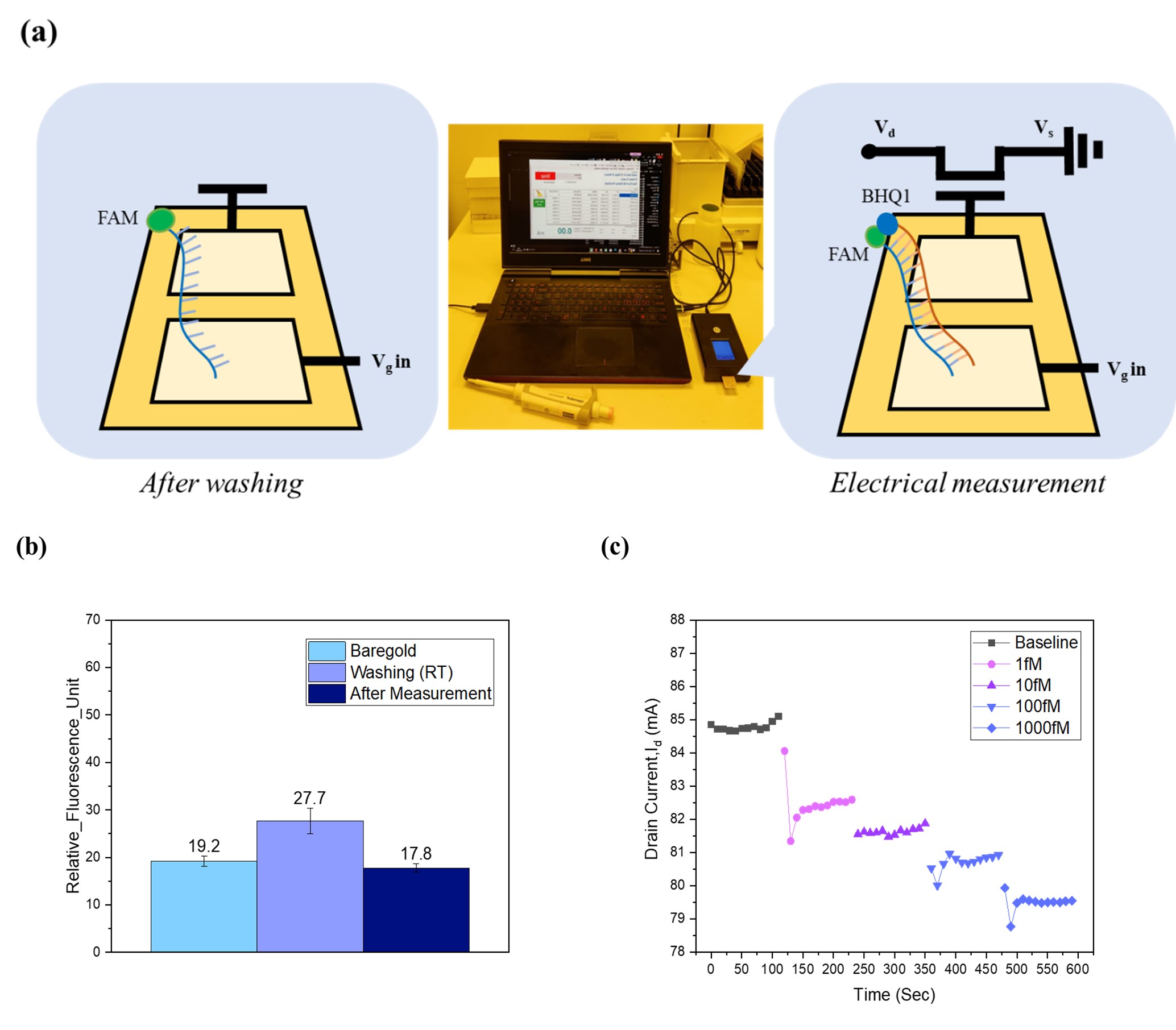Developing Field Effect Transistor Sensors Based on DNA Probes to ...